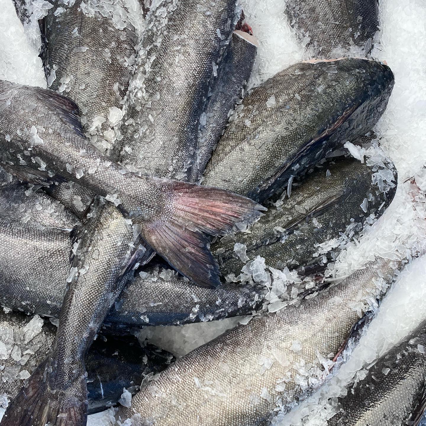 Built on Canadian Seafood, Supporting Local Fishers - Seafood sales ...